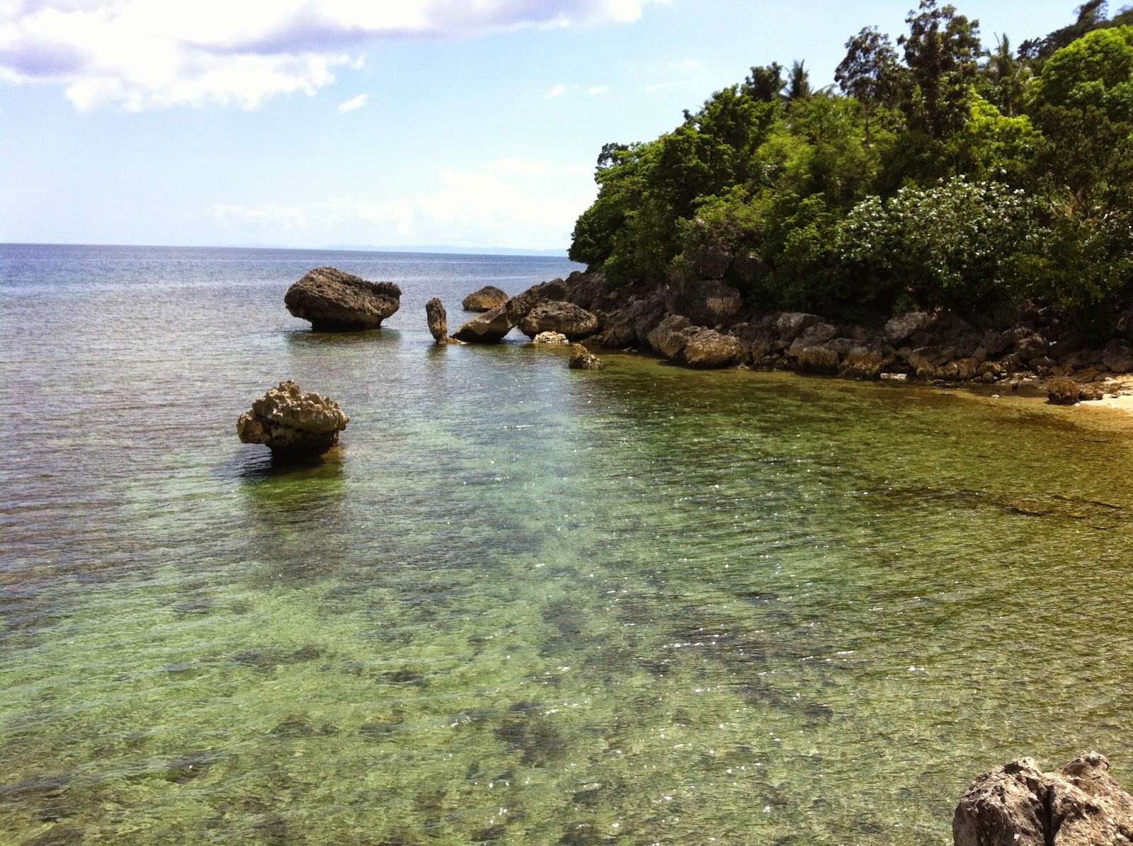 NcDEcoBlog: Pasacao Fish Sanctuary ~ Naga City Deck